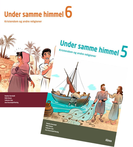 Gennemsynspakke | Alinea